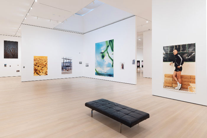 Wolfgang Tillmans Takes MoMA by Storm | The New York Sun
