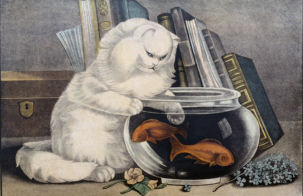 Poem of the Day: ‘Ode on the Death of a Favourite Cat’ | The New York Sun