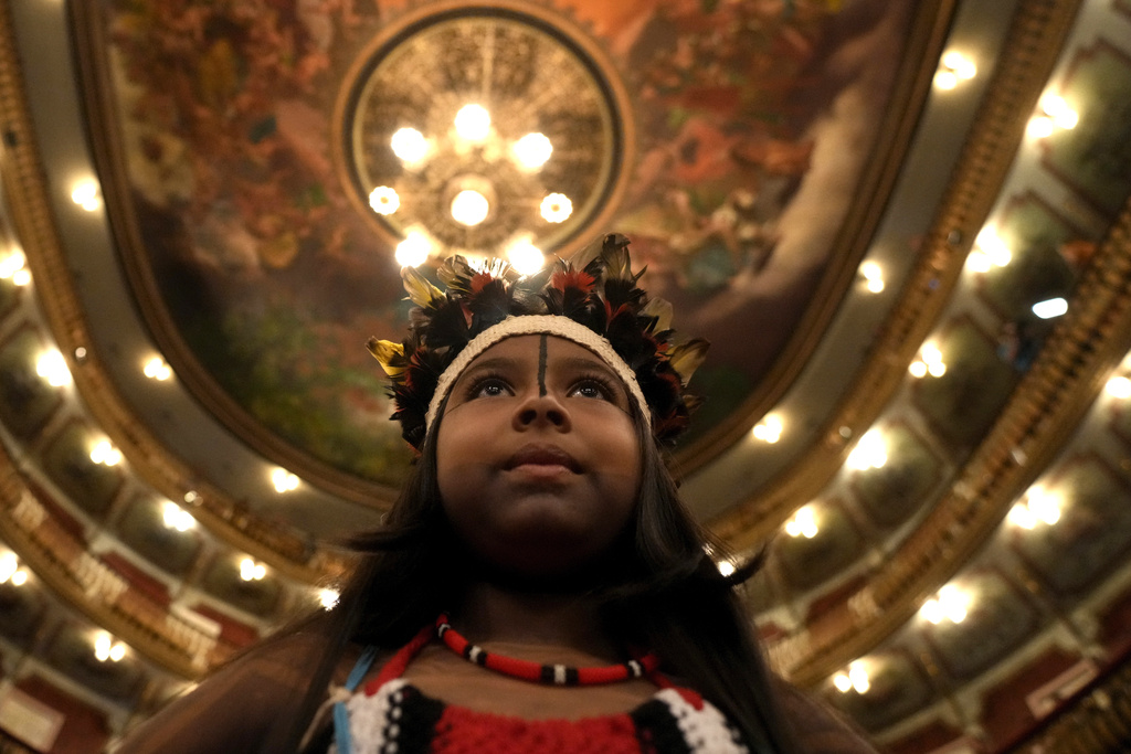Brazilian Summit To Preserve the Amazon Runs Up Against Reality of ...
