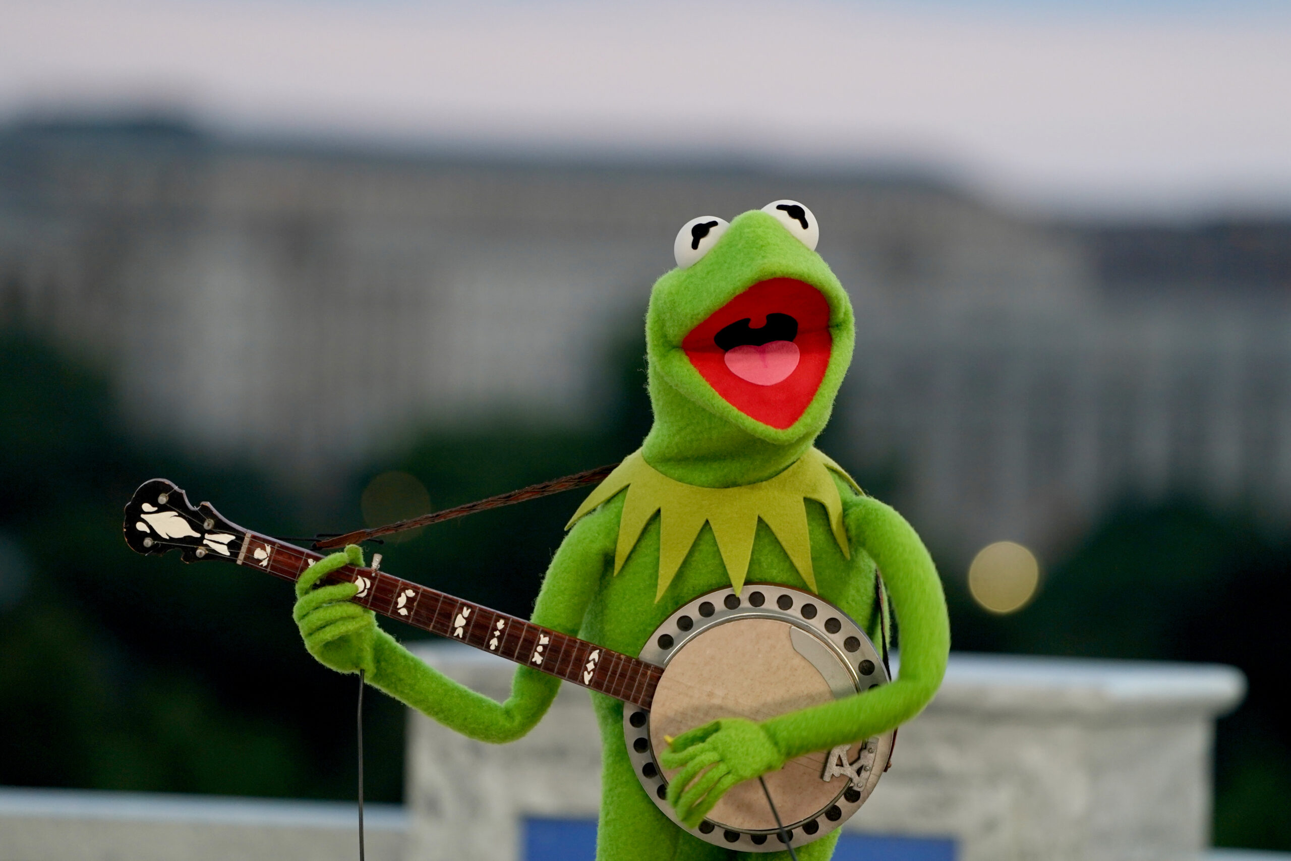 Elite Colleges Ask Applicants About Kermit the Frog and Other ‘Optional ...