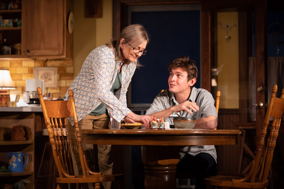 Tired of Politics? Don’t Let the Title ‘Swing State’ Sway You Away ...
