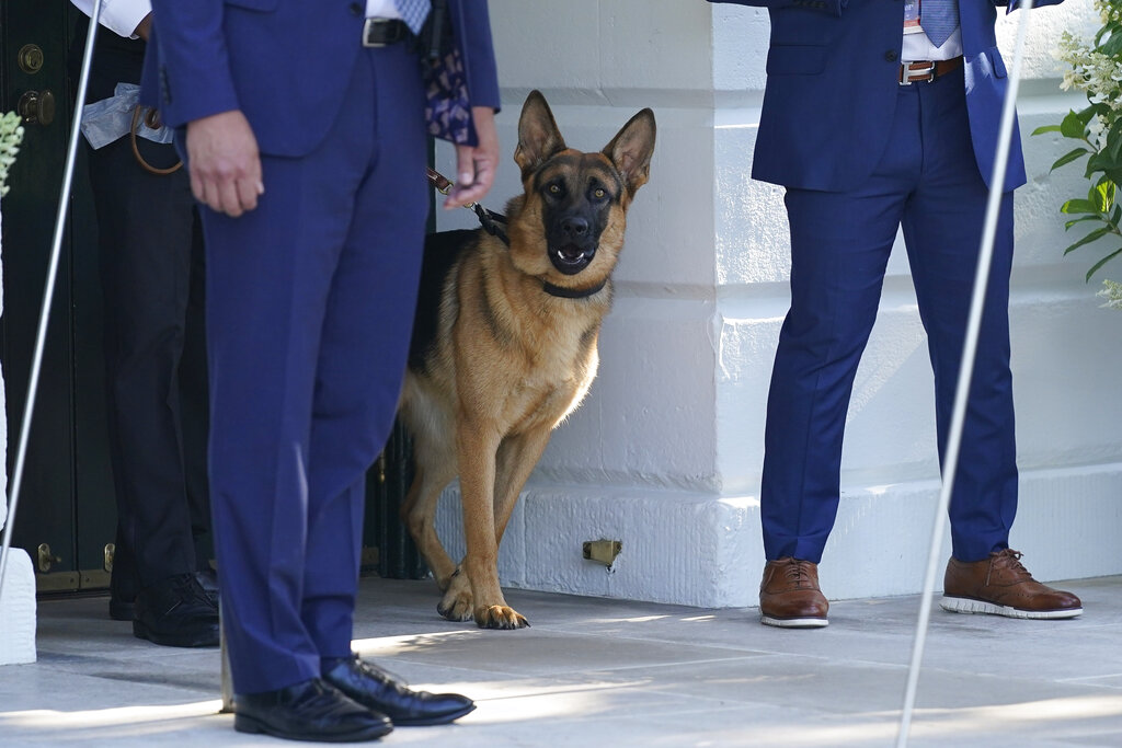 Nota Bene: The ‘Vicious Animal’ in the White House | The New York Sun