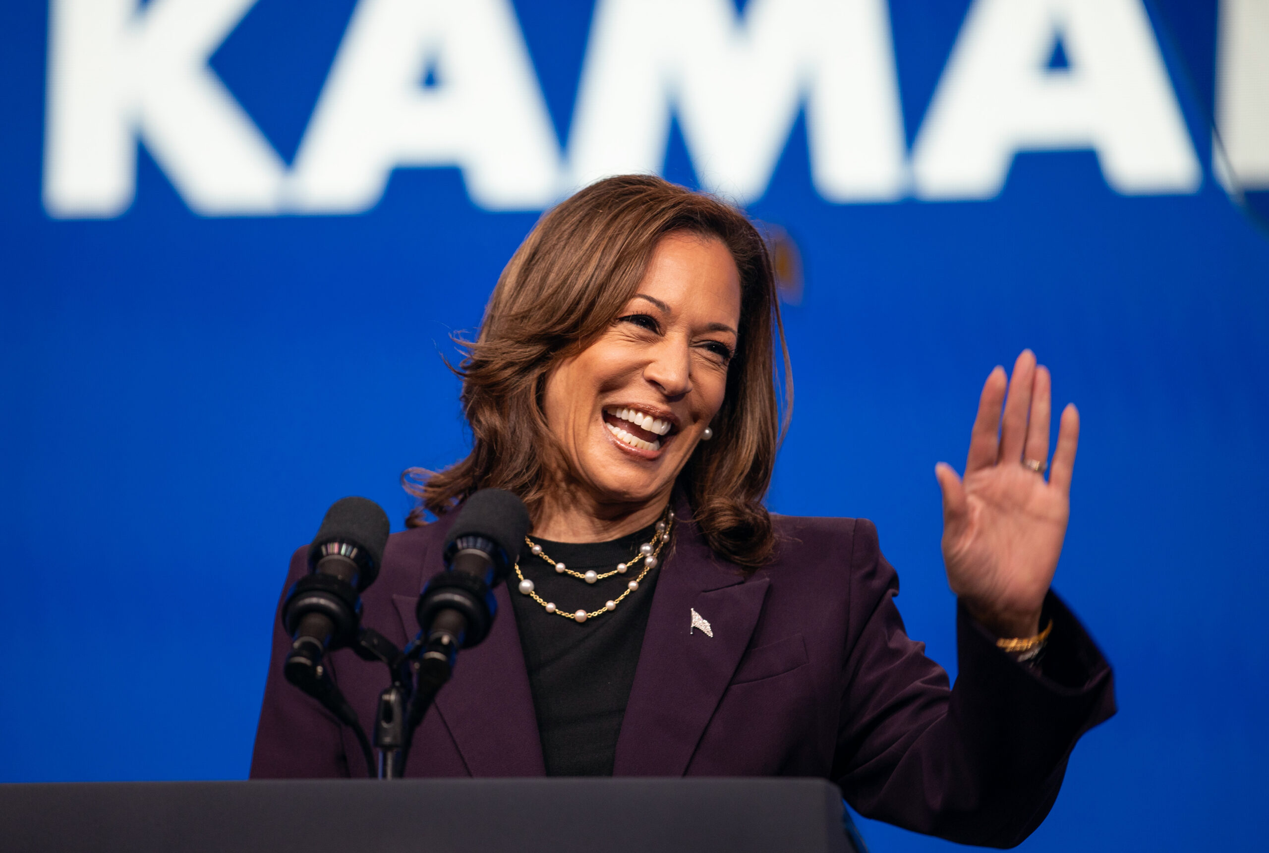Kamala Harris’s Gold Necklace | The New York Sun