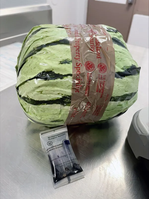 Fruit Scheme Turns Sour: Officers Seize at Southern Border $5 Million ...