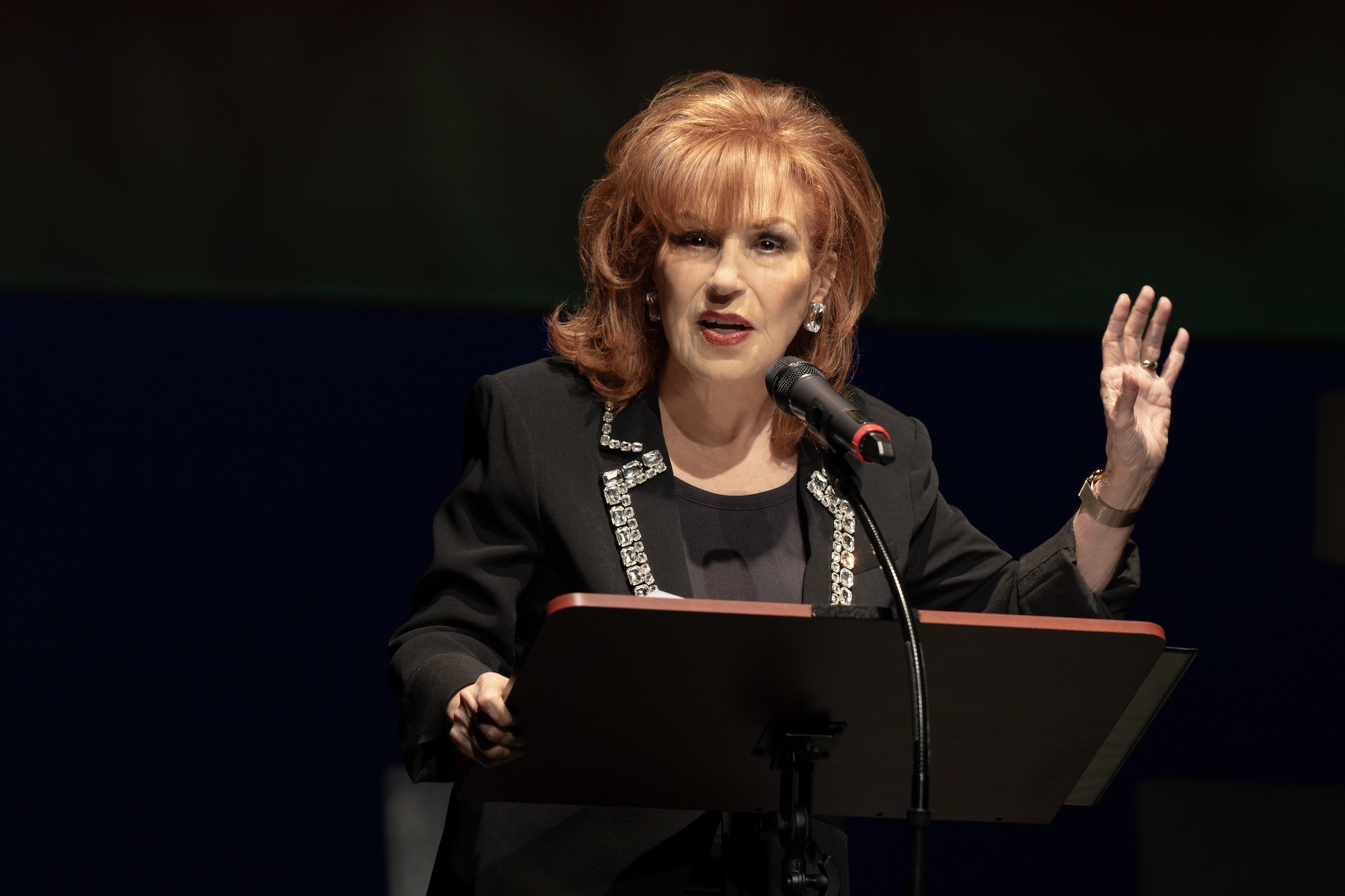 For Those Who Can’t Get Enough of Joy Behar on ‘The View,’ the Comedian ...