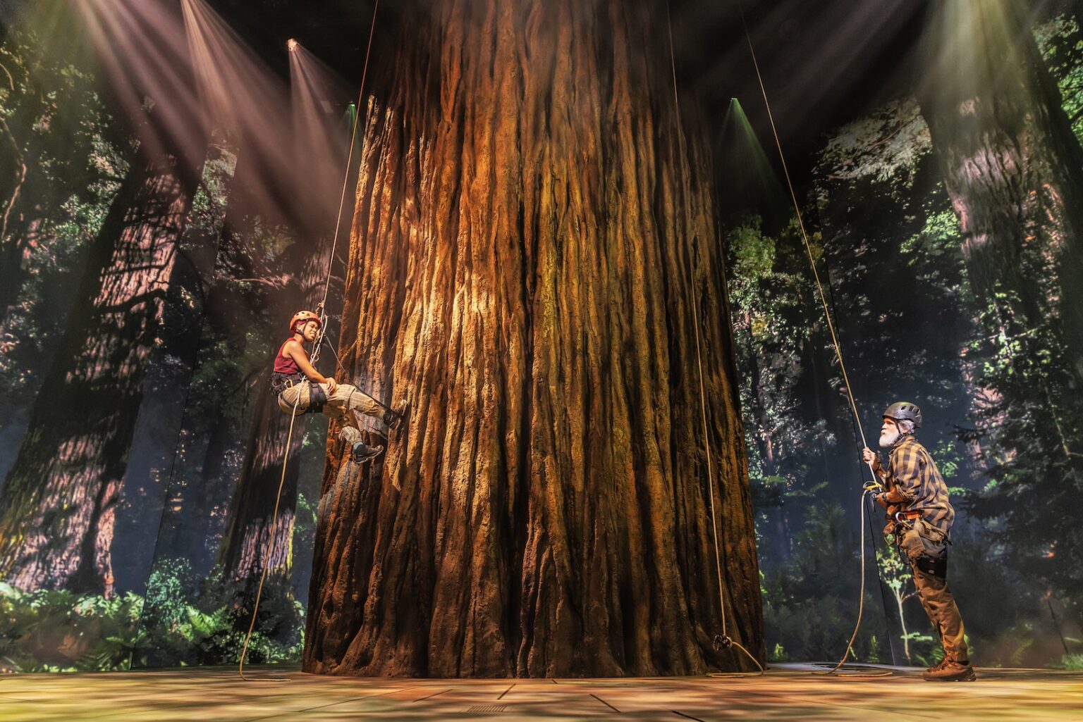 ‘Redwood’ Features Idina Menzel Returning to Broadway for Second Time ...