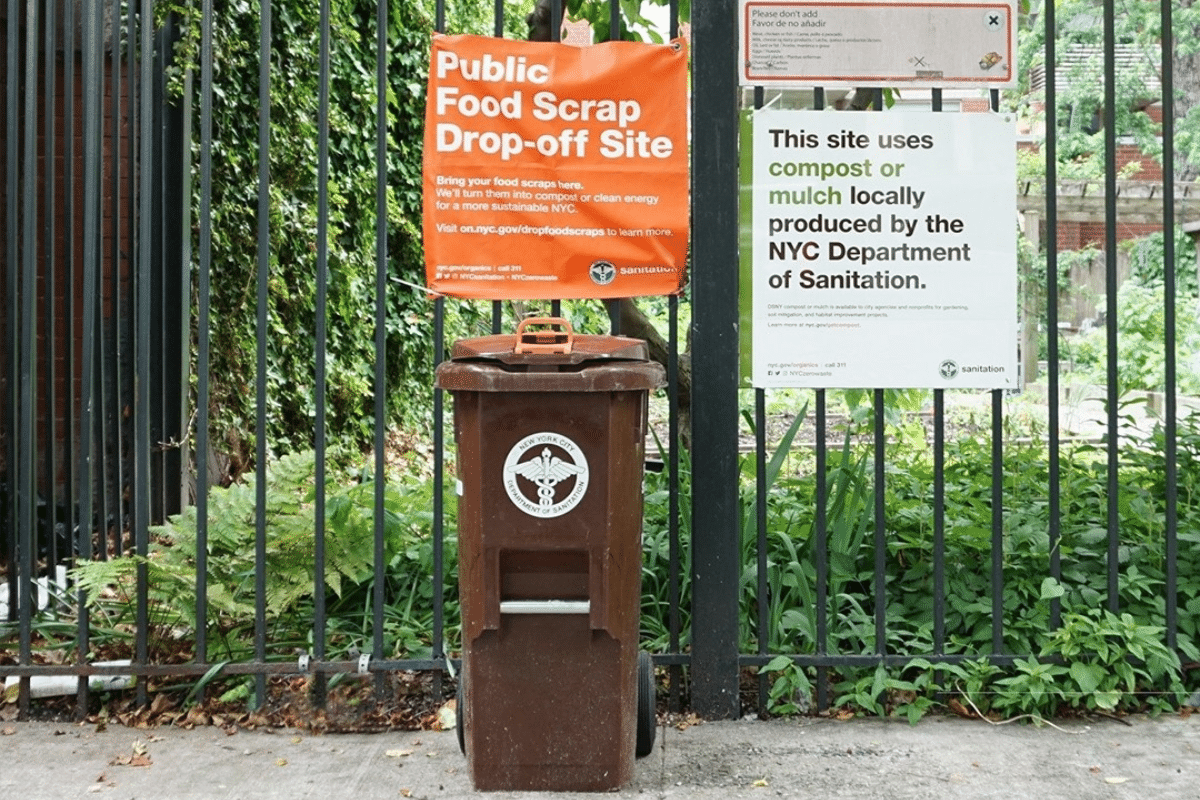 Compost Cops Are Coming to New York City: Will Policing Food Scraps for ...