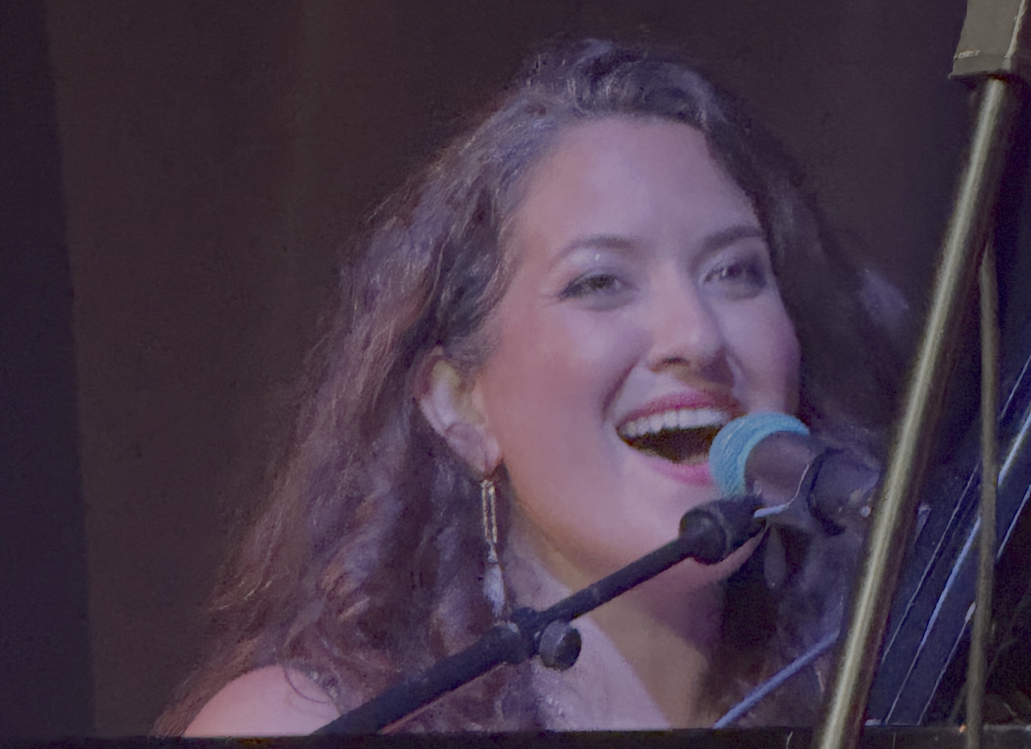 Nicole Zuraitis Has Her Mojo Working on Her New Album | The New York Sun