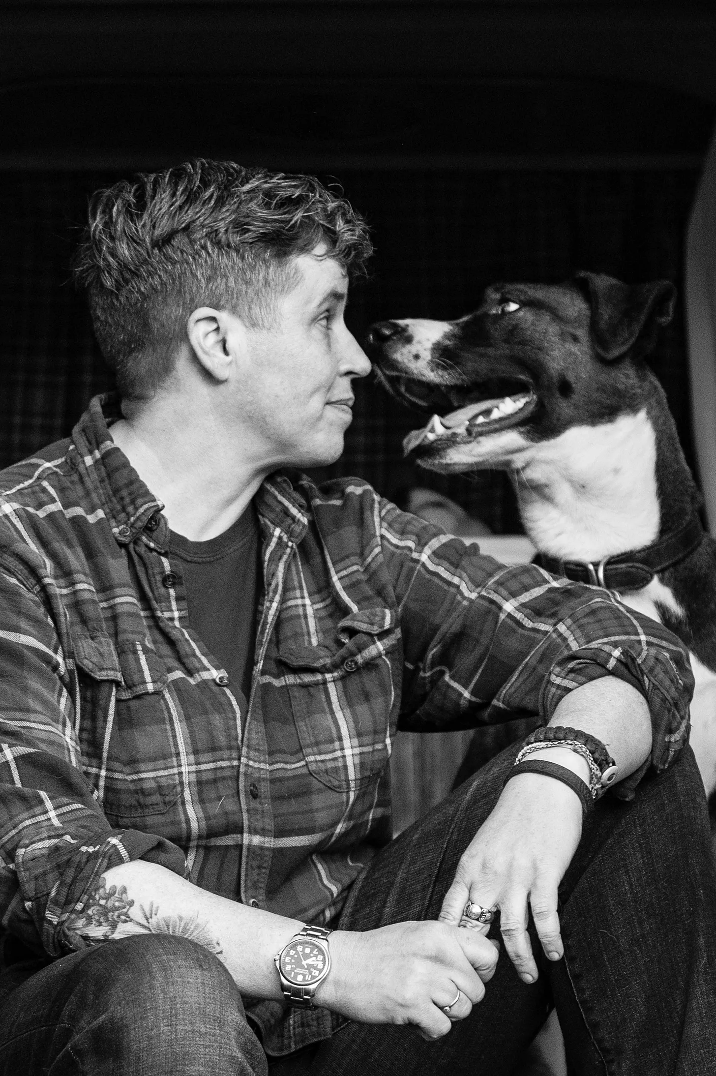 Shadowing Steinbeck, With a Dog in Tow | The New York Sun